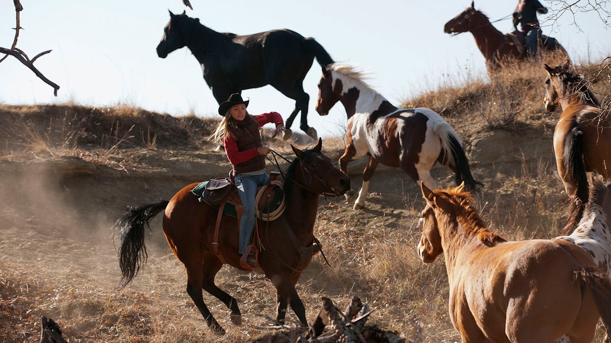 Die Wildpferde | Bibel TV